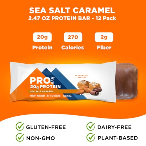 vegan protein bars with 20g protein