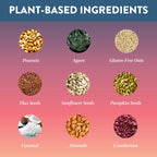 vegan protein bars with natural ingredients