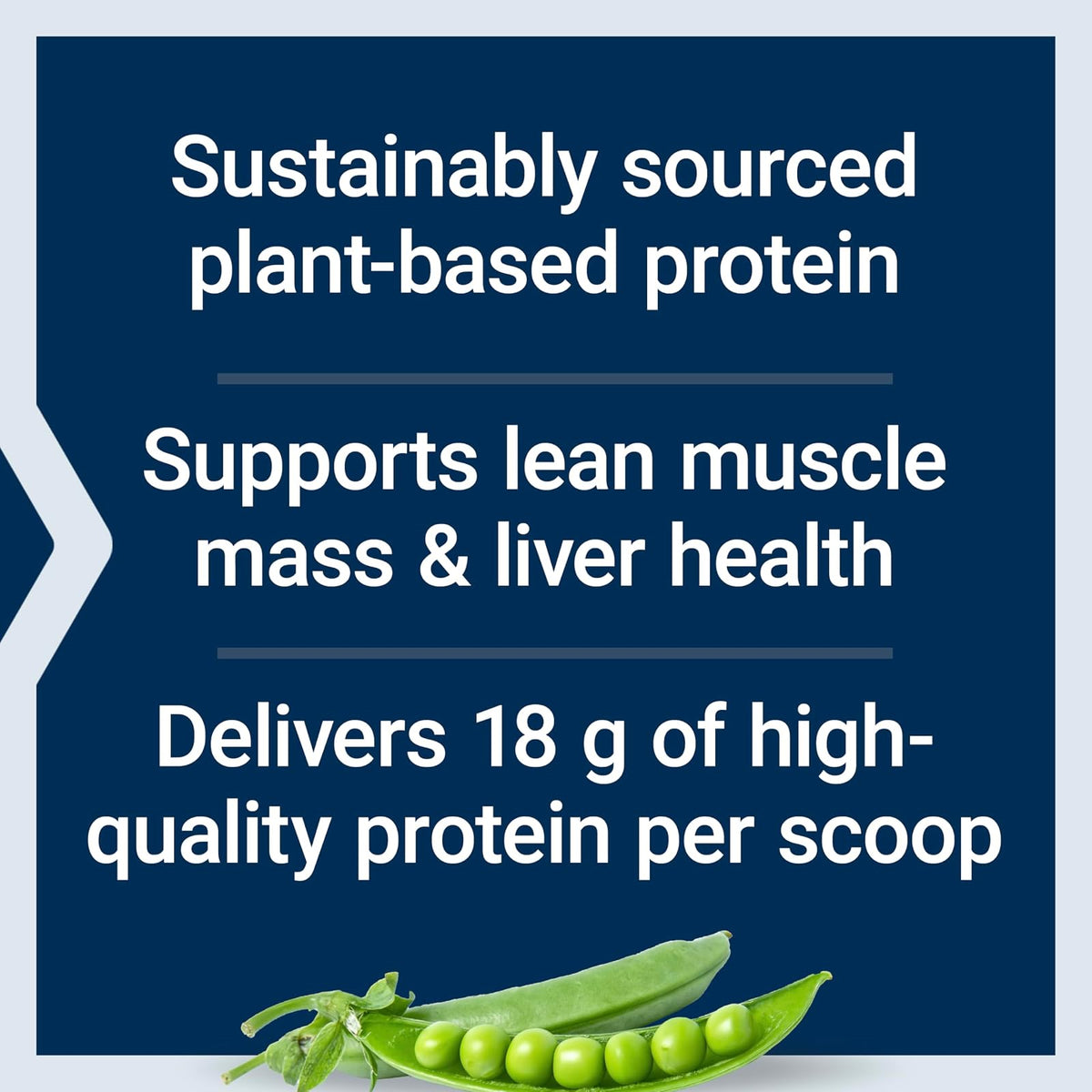 vegan protein for muscle growth