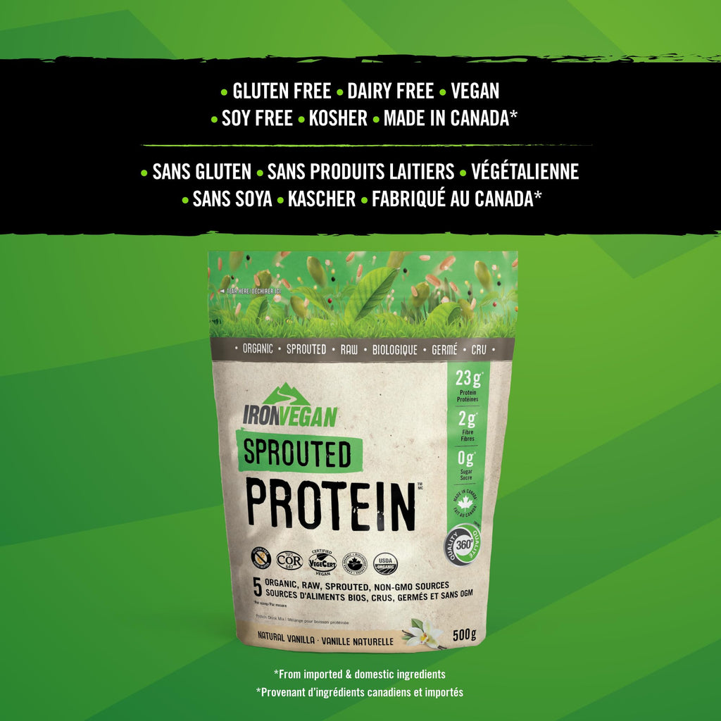 vegan protein for muscle recovery