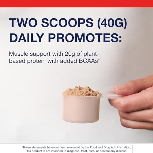vegan protein for muscle recovery