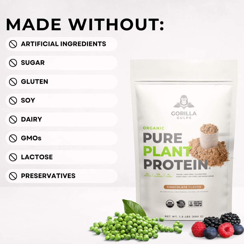 vegan protein for muscle recovery
