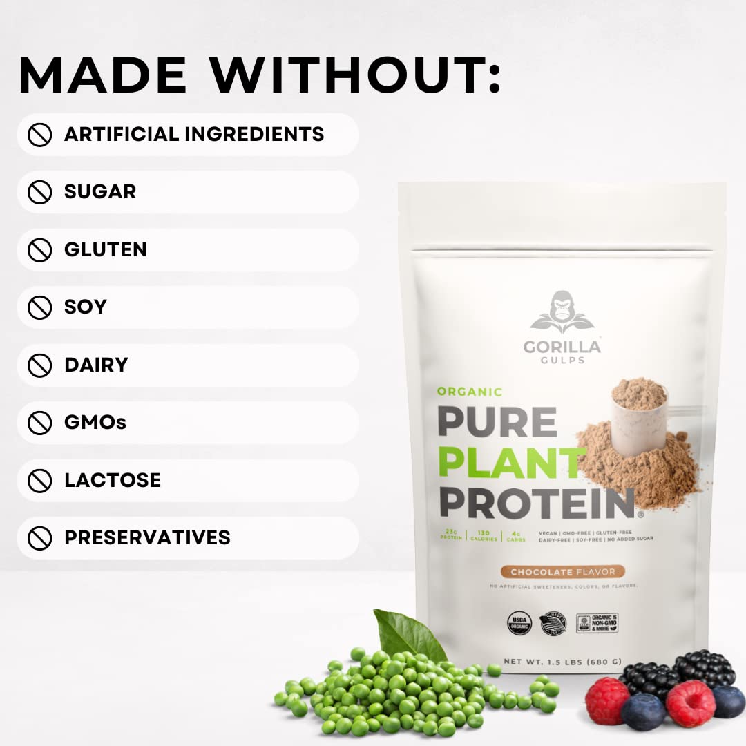 vegan protein for muscle recovery