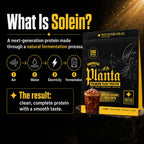 Vegan protein for muscle recovery