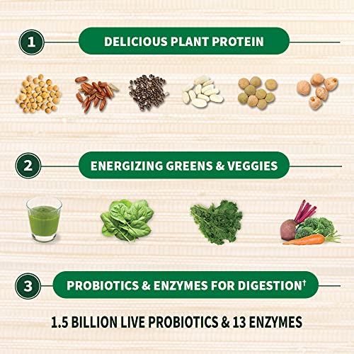 vegan protein for muscle recovery