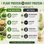 Vegan protein for post-workout recovery