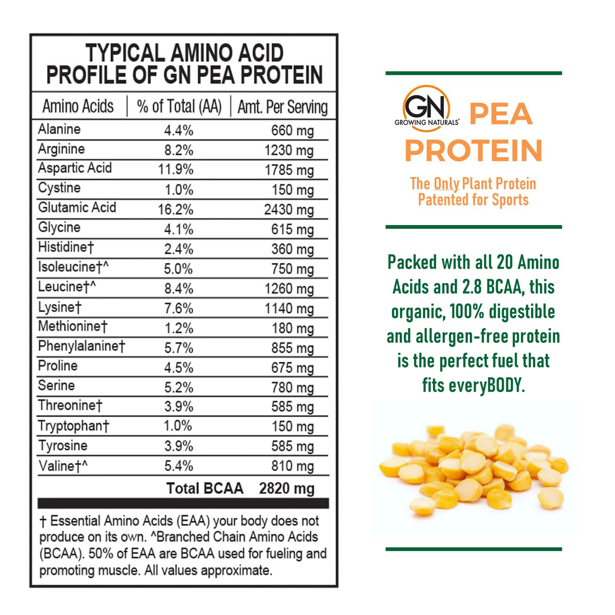 vegan protein powder for baking
