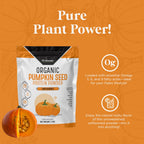 vegan protein powder for baking