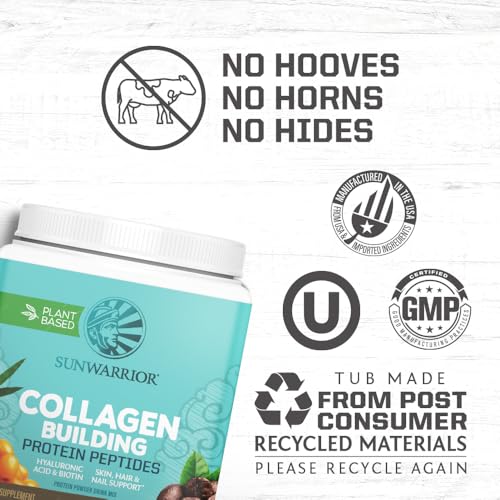 vegan protein powder for beauty support