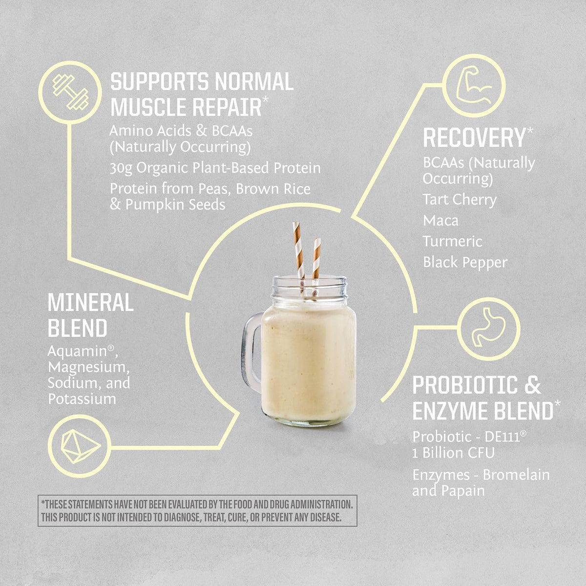 vegan protein powder for muscle gain