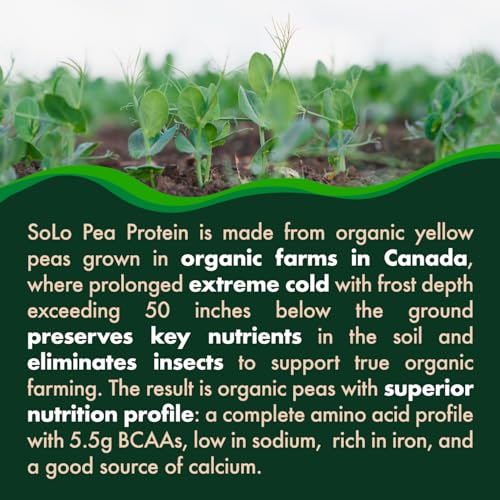vegan protein powder for muscle gain