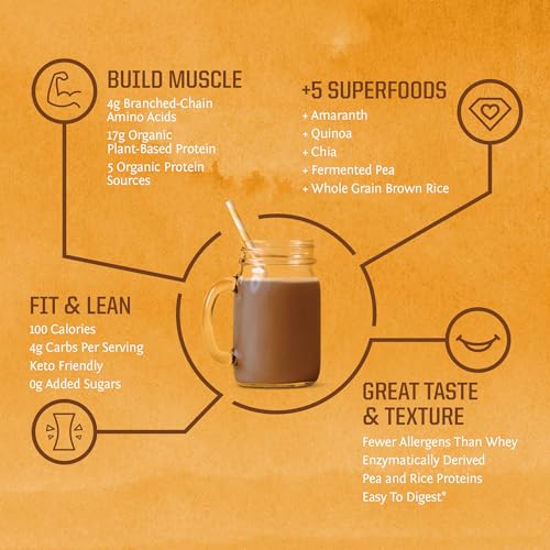 vegan protein powder for muscle recovery