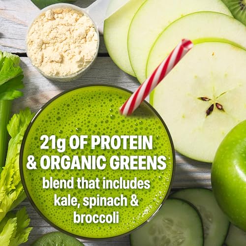 vegan protein powder for muscle recovery