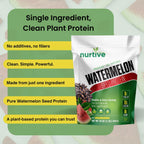 vegan protein powder for muscle recovery