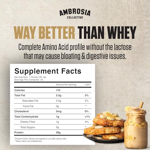 vegan protein powder for smoothies