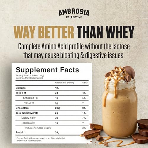 vegan protein powder for smoothies