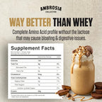 vegan protein powder for smoothies
