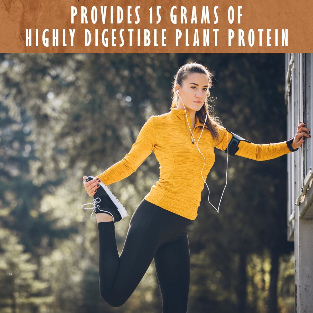 vegan protein powder for smoothies