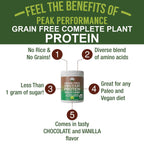 vegan protein powder for smoothies