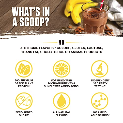 vegan protein powder for smoothies