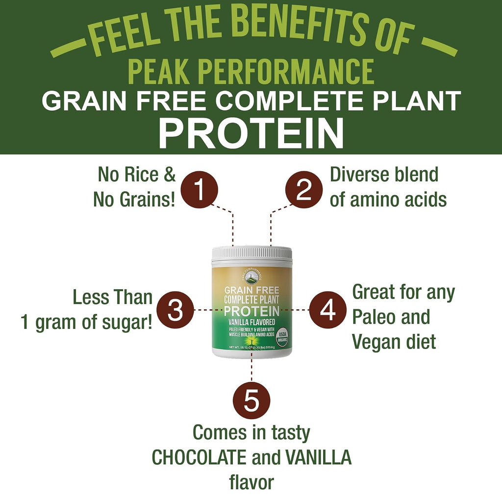 vegan protein powder for smoothies