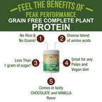 vegan protein powder for smoothies