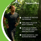 vegan protein powder for smoothies