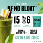 vegan protein powder with matcha