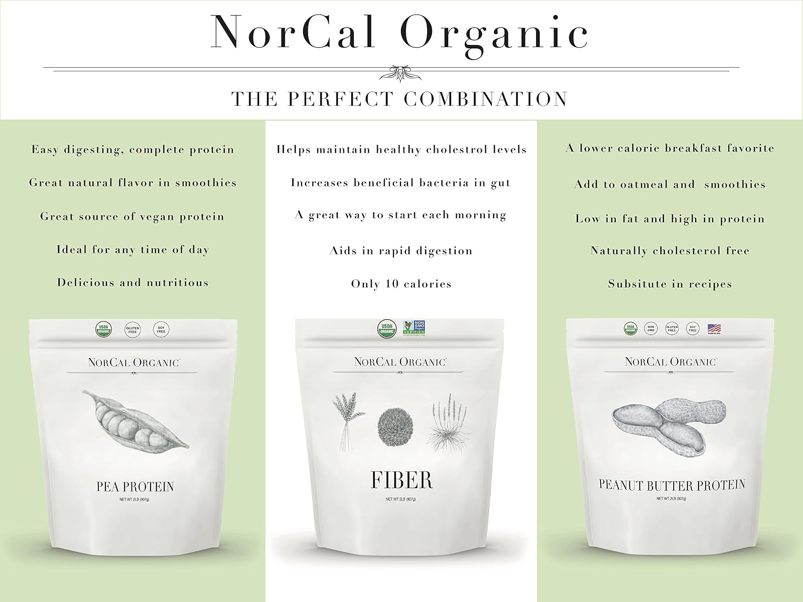 vegan protein powder with peanut flavour