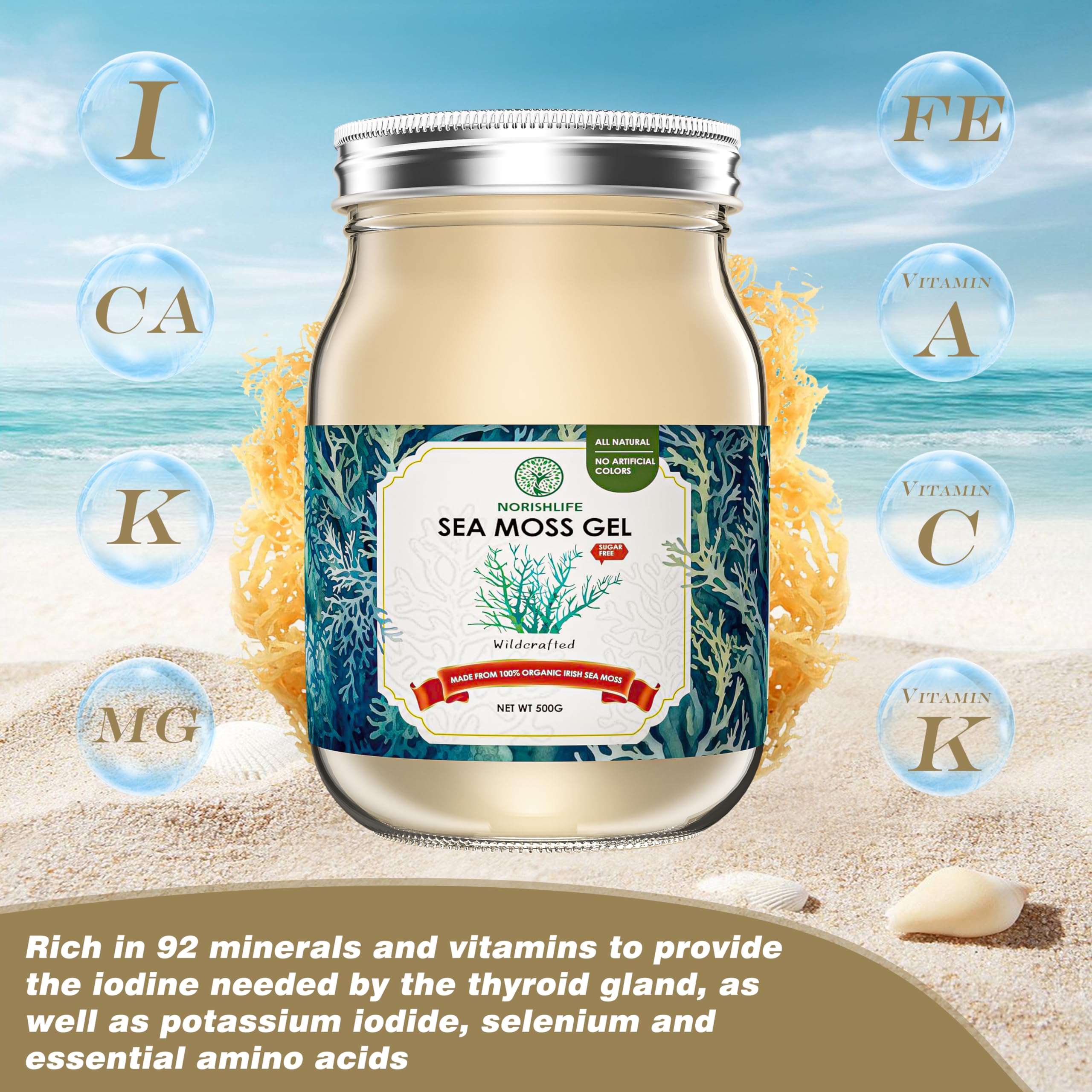 vegan protein-rich sea moss gel
