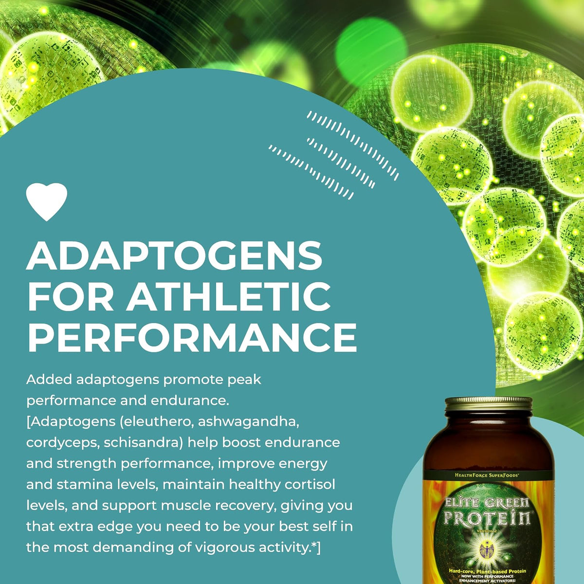 vegan protein source for energy