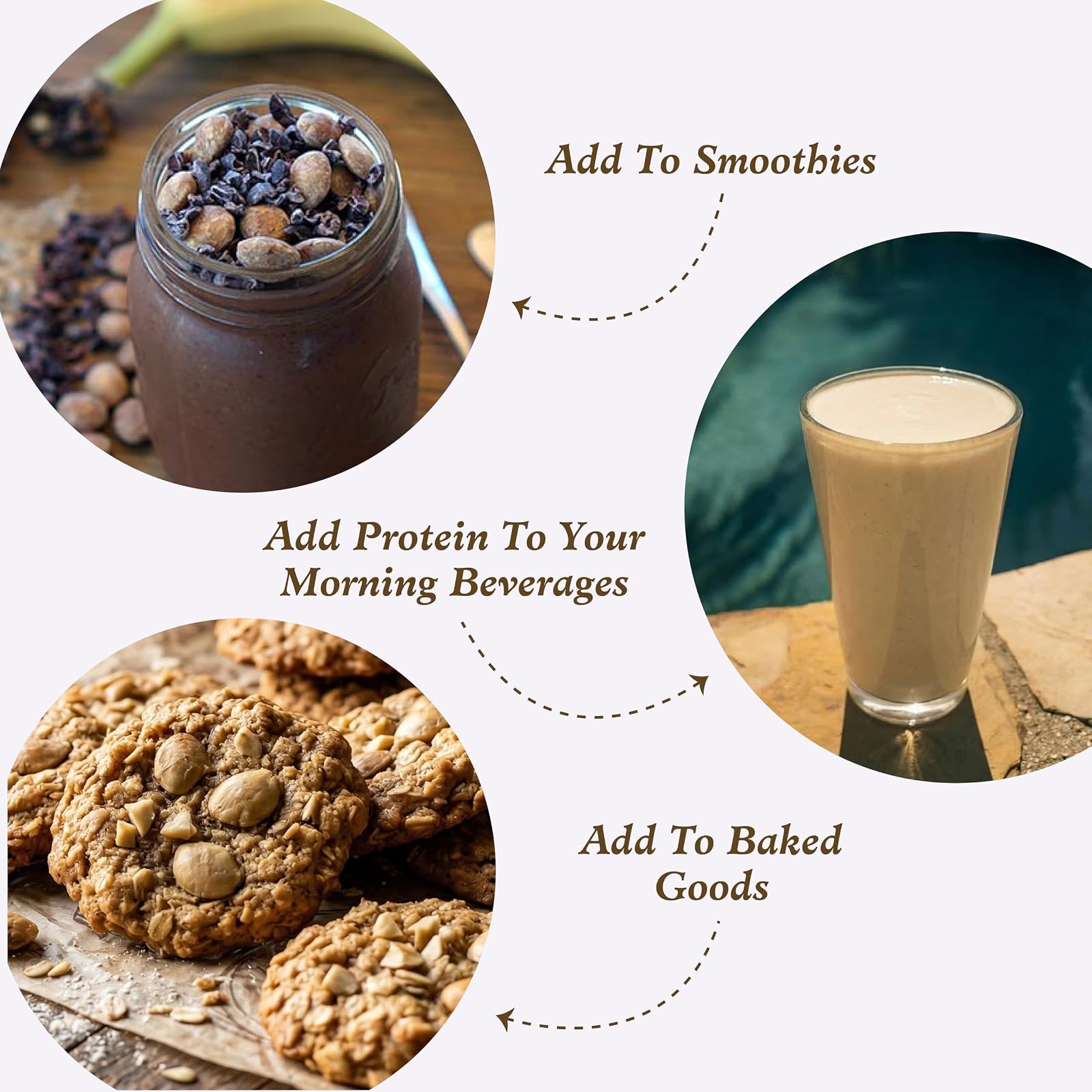vegan protein source Sacha Inchi powder