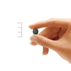 vegan protein source spirulina tablets
