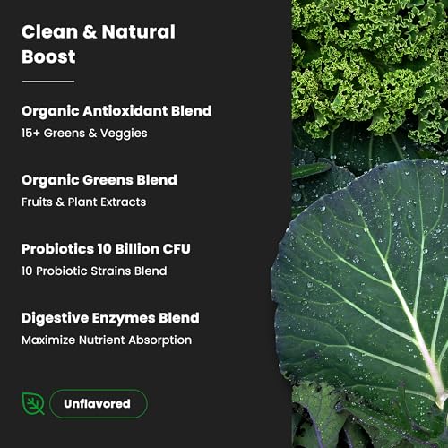 vegan protein source spirulina