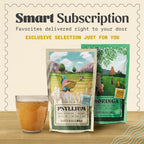 vegan psyllium husk for gut health