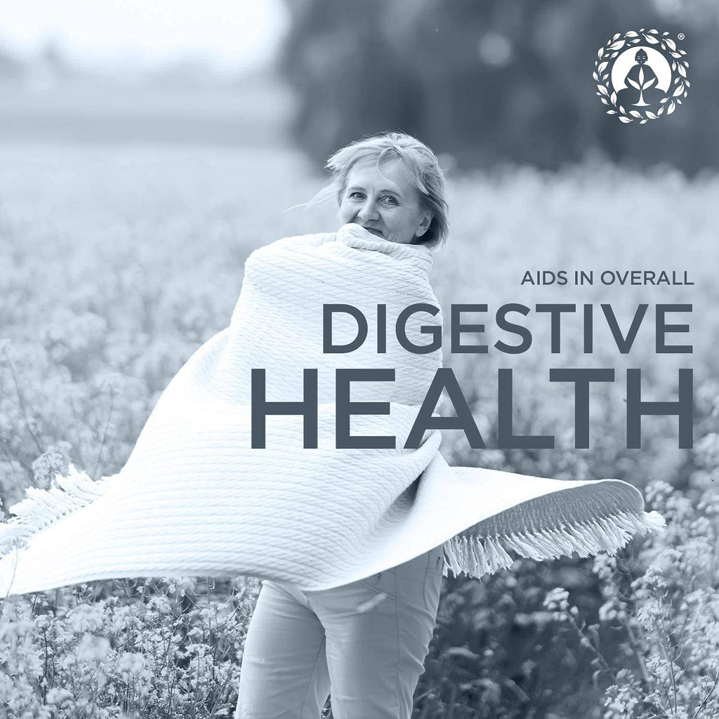 vegan psyllium husk for gut health