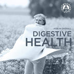 vegan psyllium husk for gut health