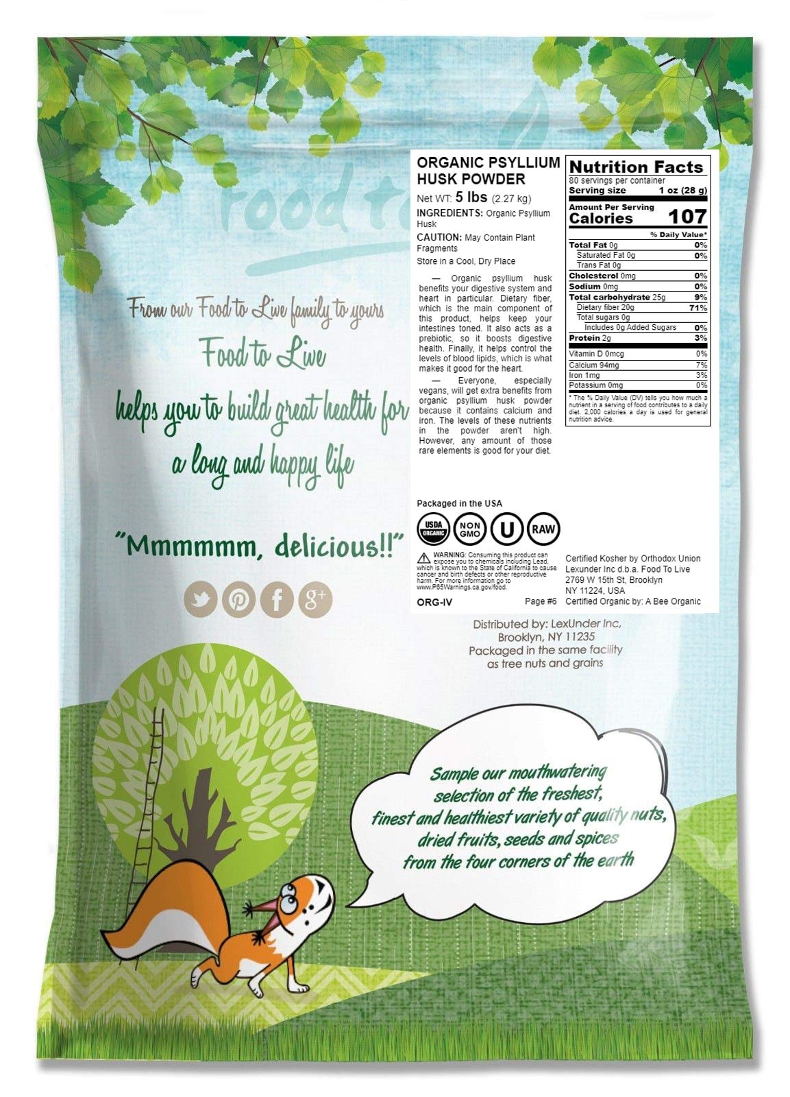vegan psyllium husk for healthy gut