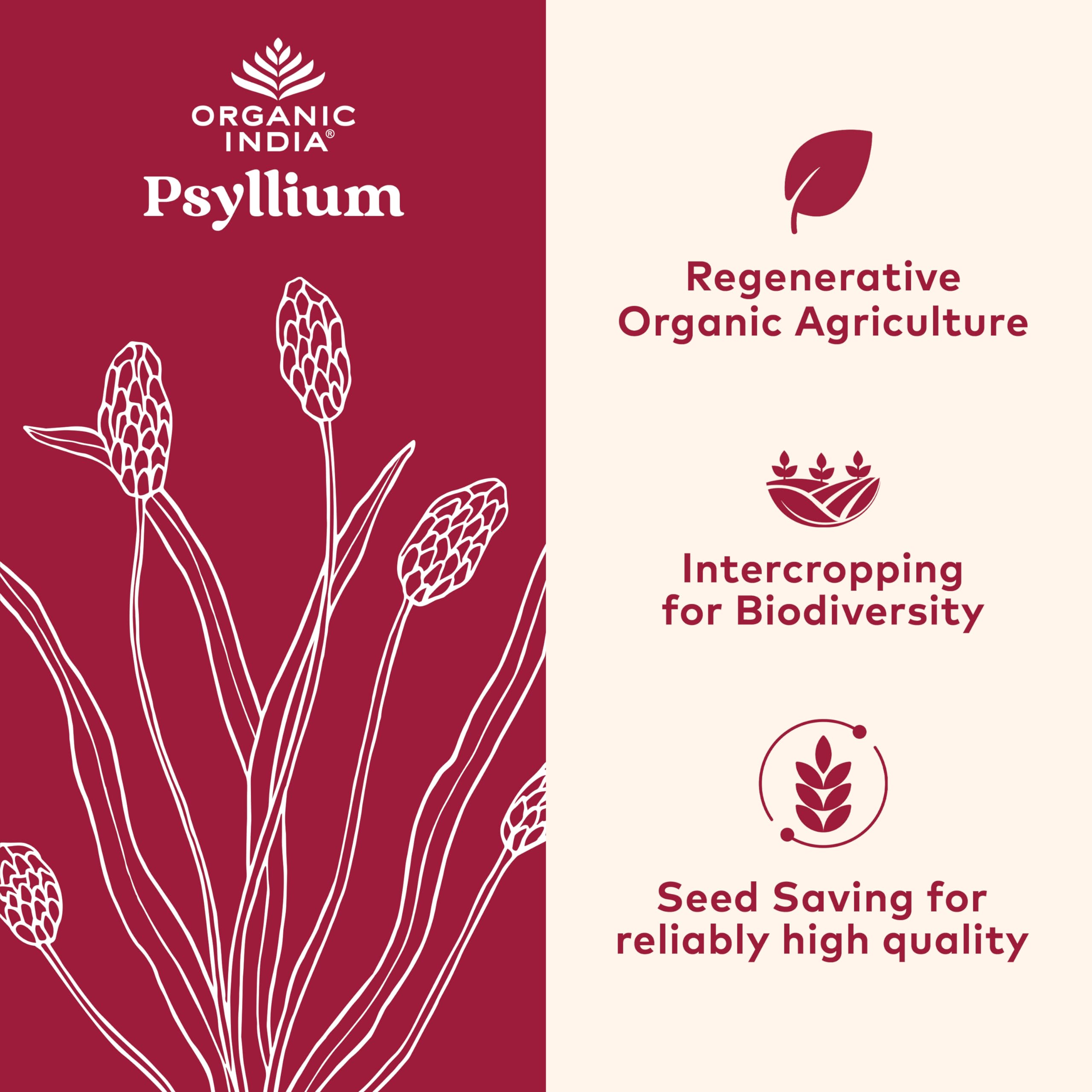 vegan psyllium husk powder canister