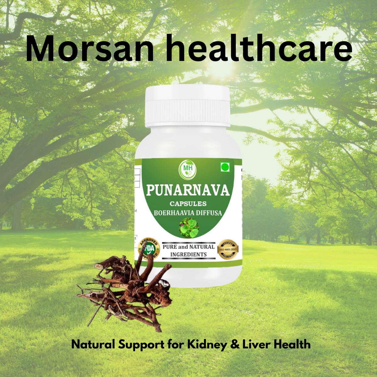 vegan Punarnava capsules for health