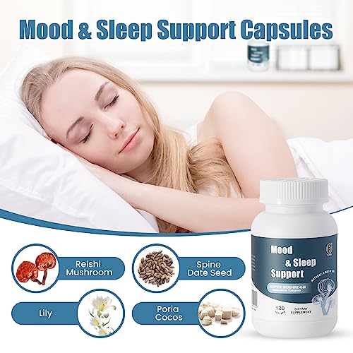 vegan reishi capsules for daily support