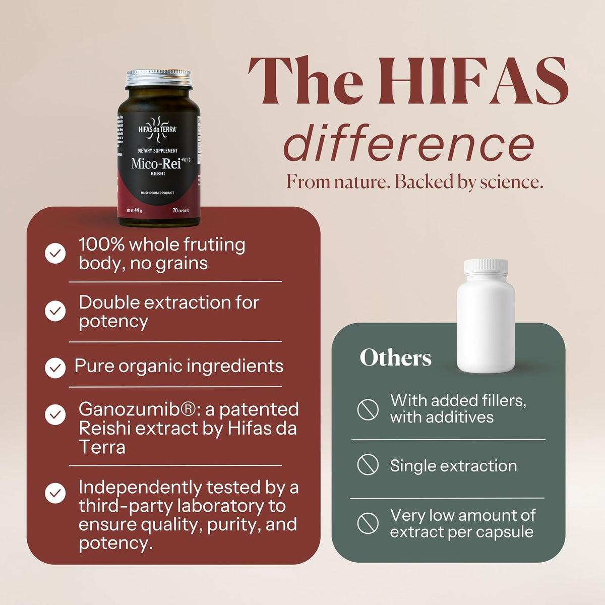 vegan reishi capsules for wellness