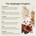 vegan reishi powder for smoothies