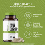 vegan sea moss capsules for vitality