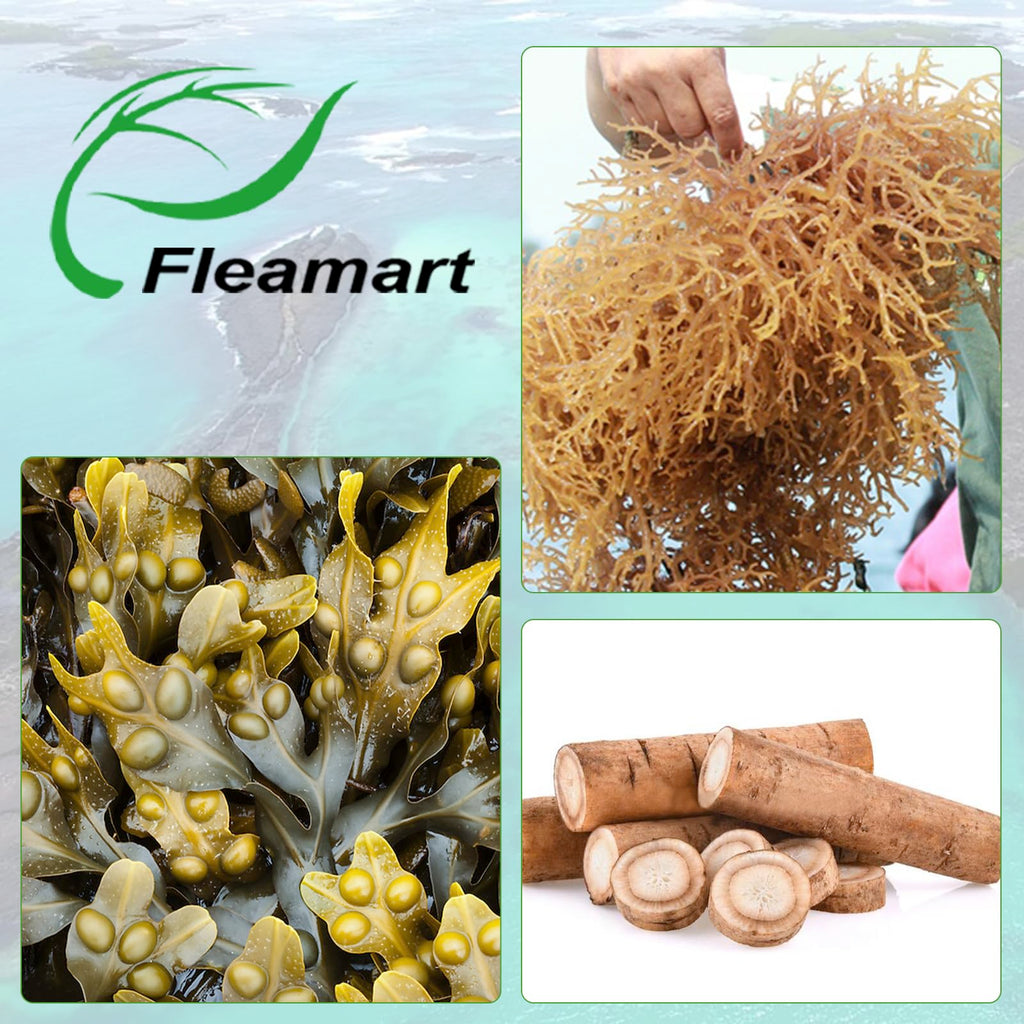 vegan sea moss capsules for vitality