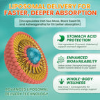 vegan sea moss for energy boost