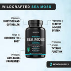 vegan sea moss for energy