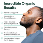 vegan sea moss for energy