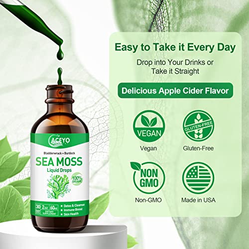 vegan sea moss for wellness