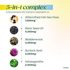 vegan sea moss for wellness